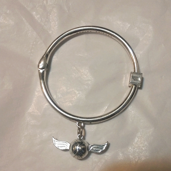 Warner Bros. | Jewelry | Ashley Bridget Harry Potter Golden Snitch ...